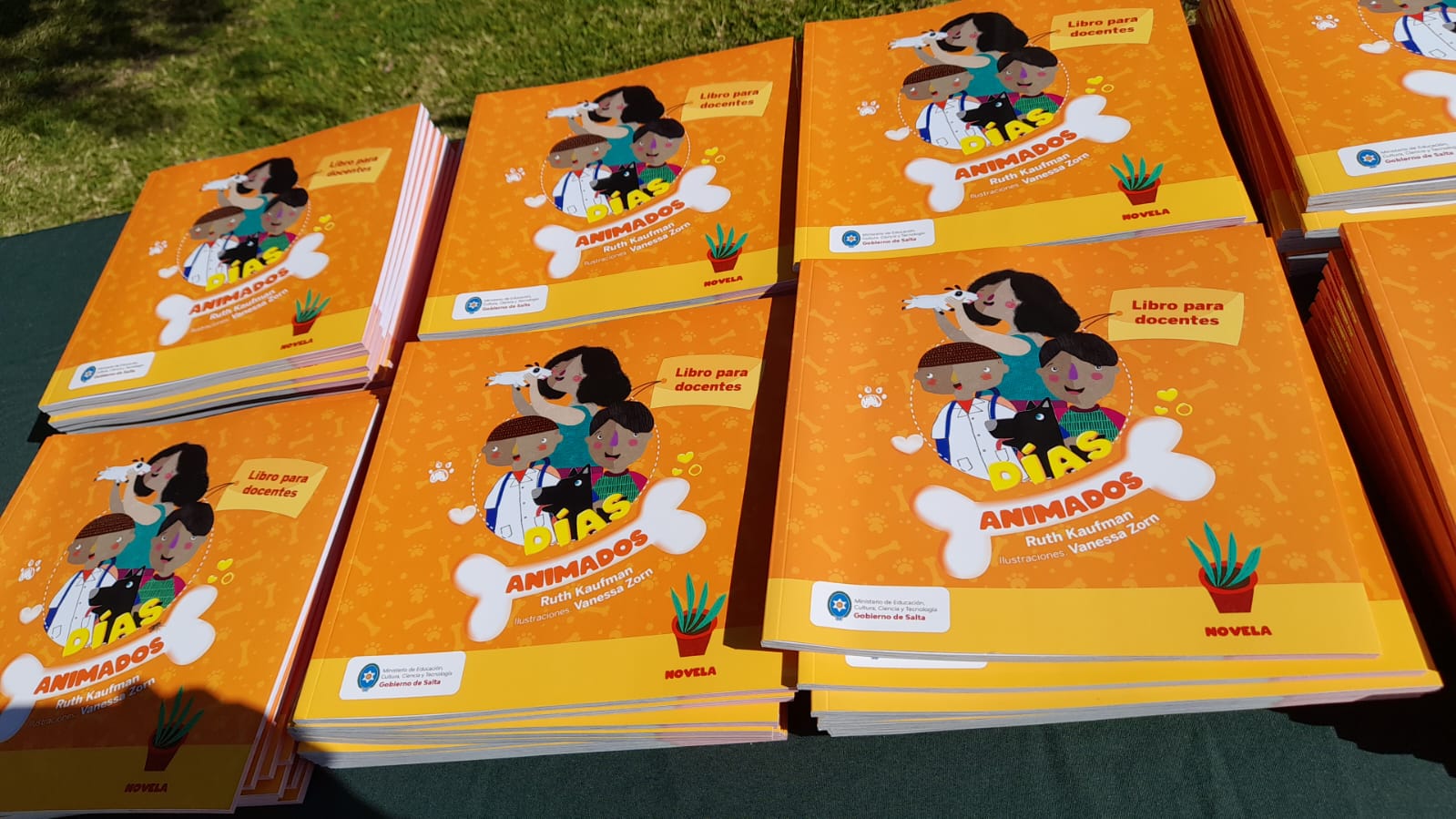 Cuarto encuentro del Programa de Fortalecimiento de la Alfabetización en Metán y Rosario de la ...